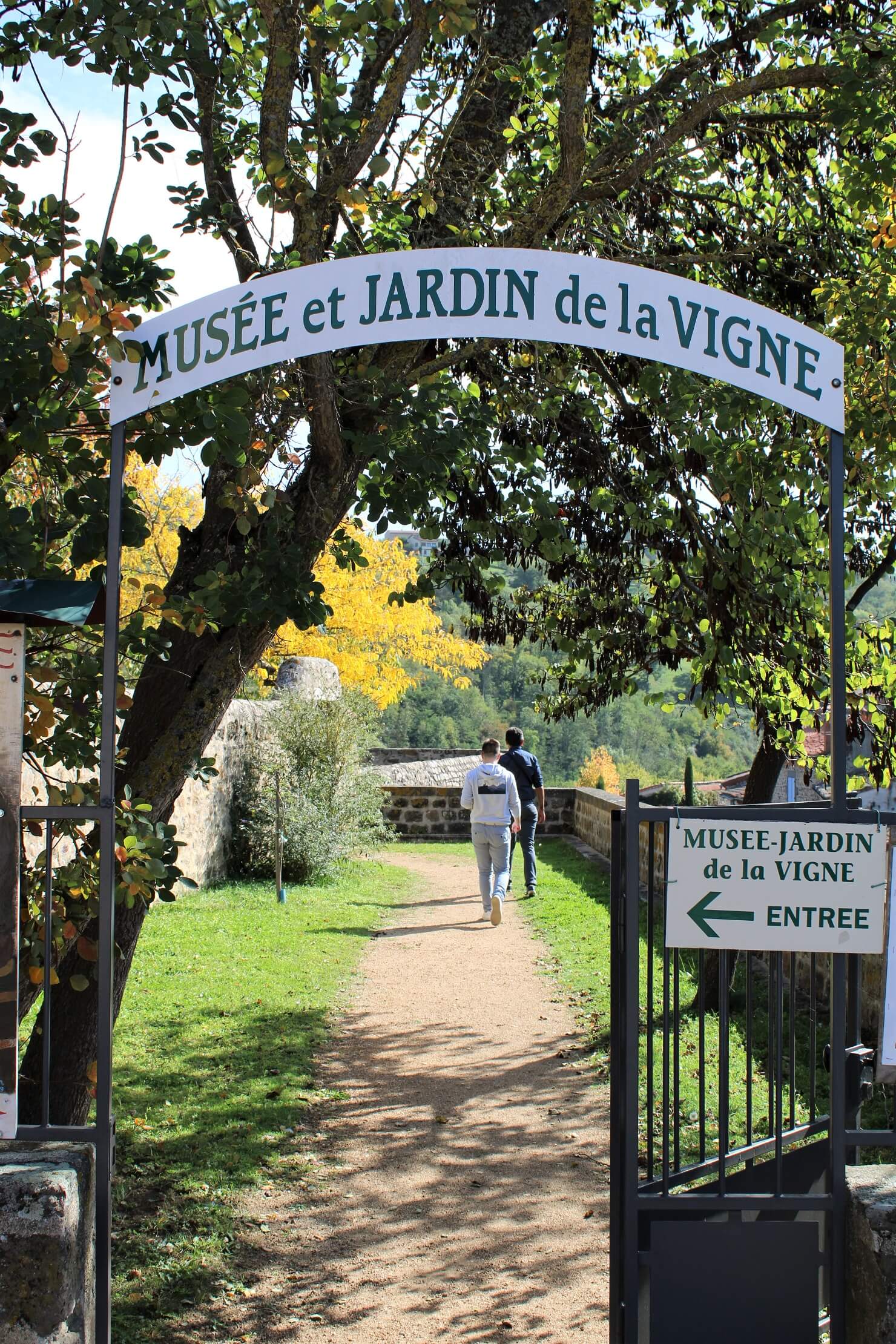 Novedades en el Jardín-Museo del Viñedo de Vieille-Brioude - Turismo ...