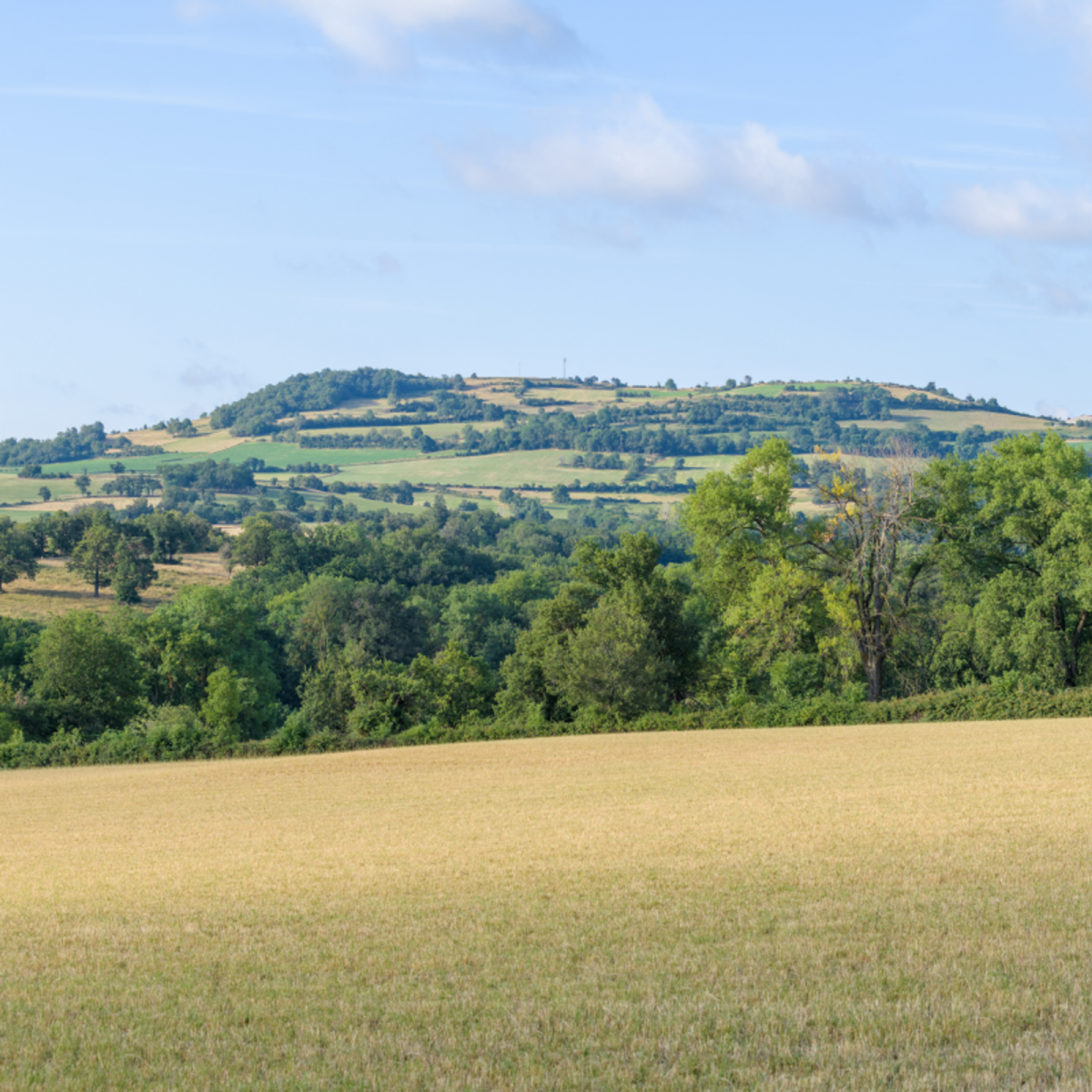 PR028 The Vergueur volcano - Brioude Sud Auvergne Tourism