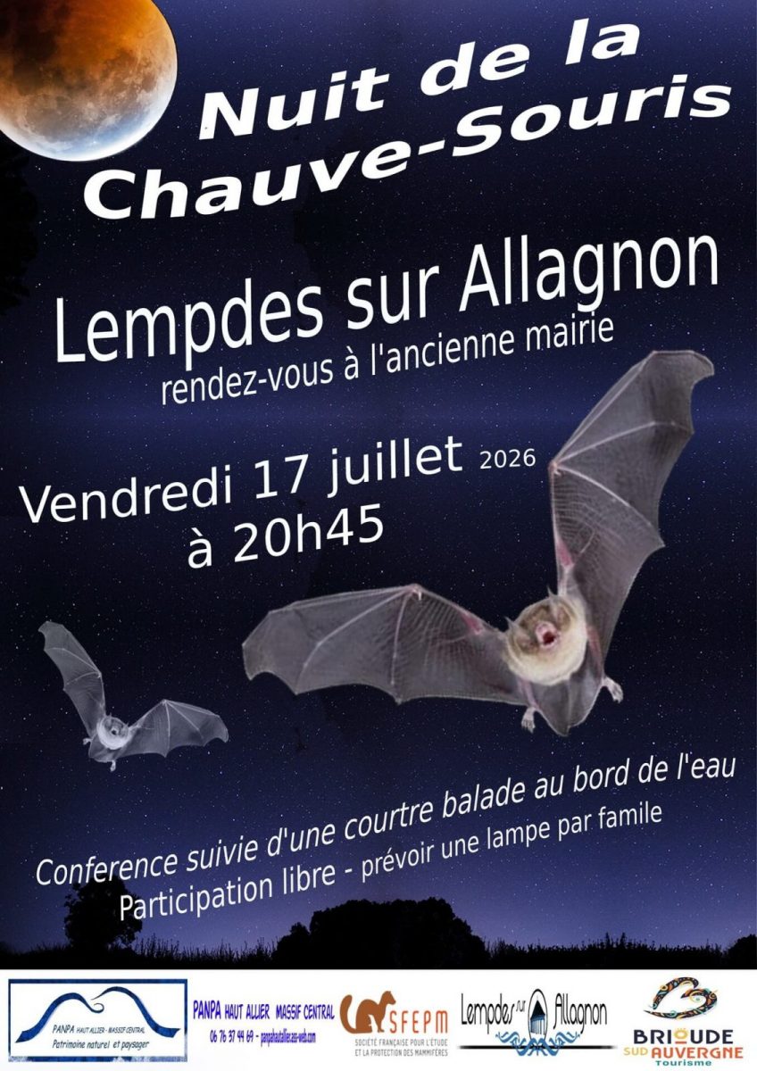 La nuit de la chauve-souris à Lempdes-sur-Allagnon - Brioude Sud ...
